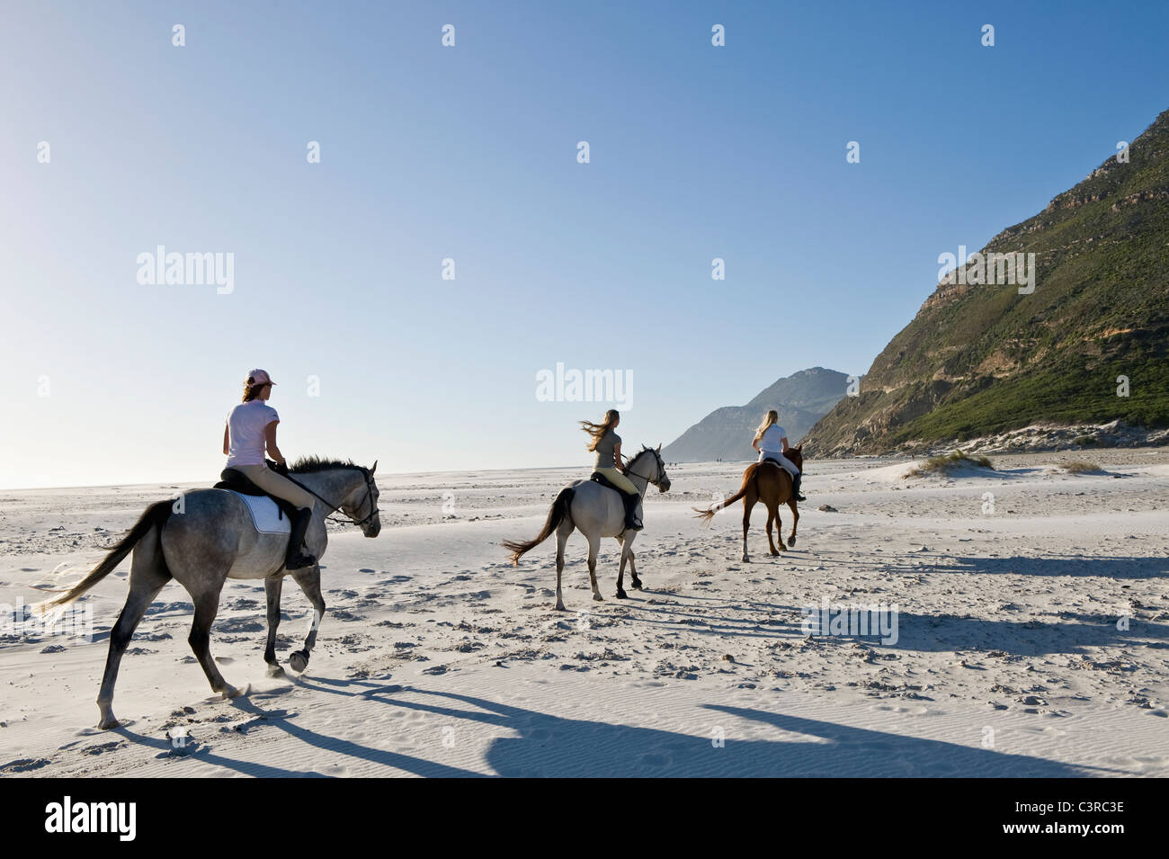 3 people riding horses on the beach Stock Photo - Alamy