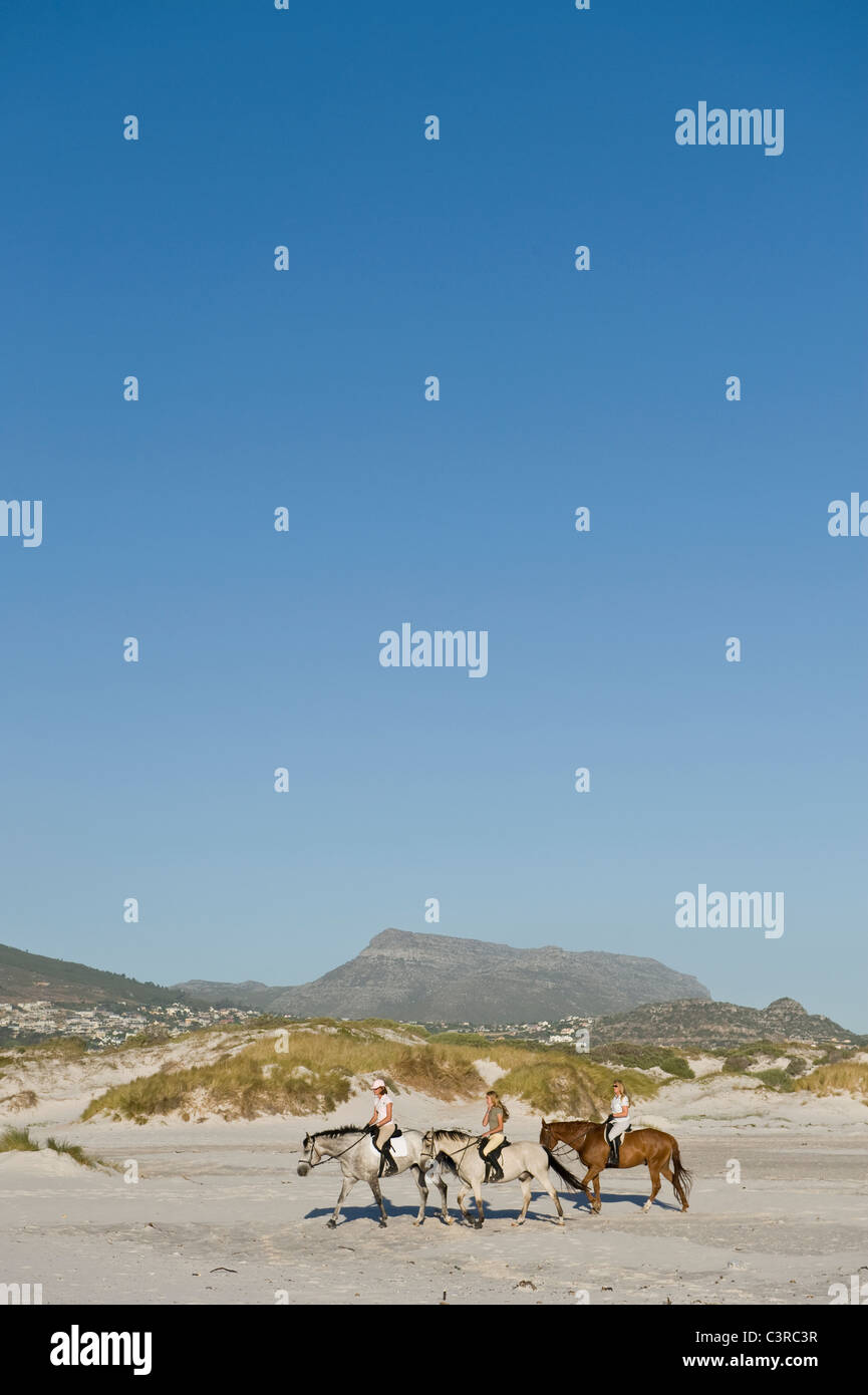 Three horses on beach hi-res stock photography and images - Alamy