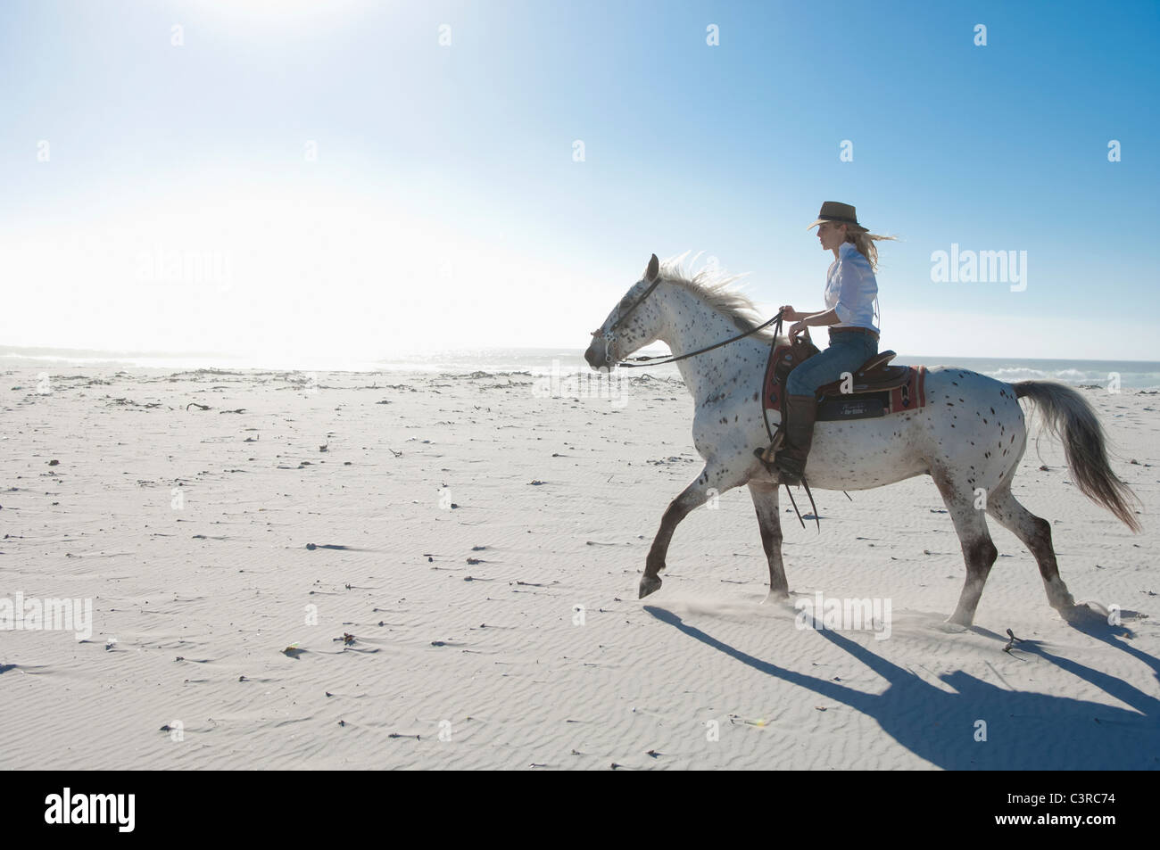 Horseriding in the sand Stock Photo - Alamy