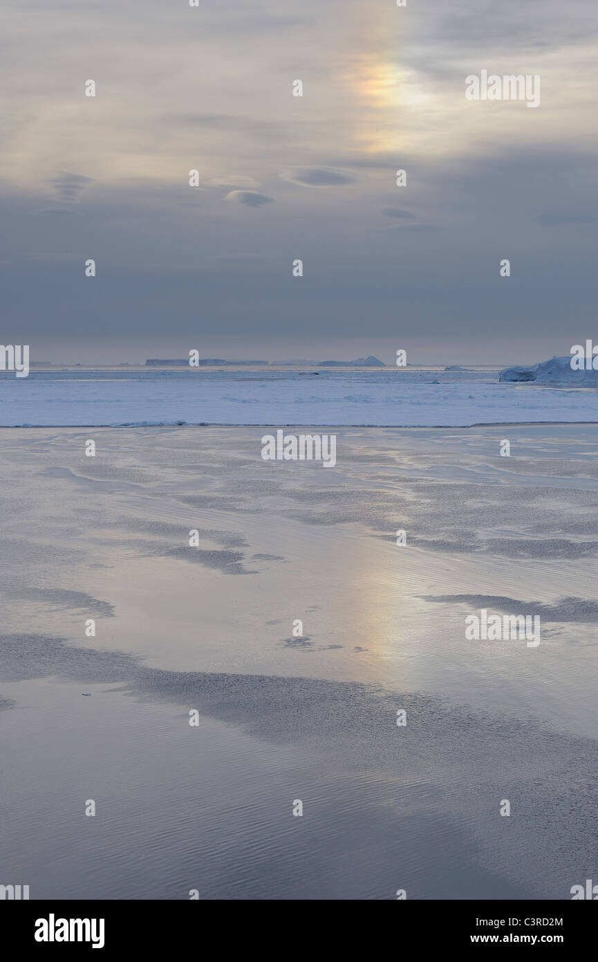 Antarctic, Antarctic Peninsula, View of ice floe in weddell sea Stock ...