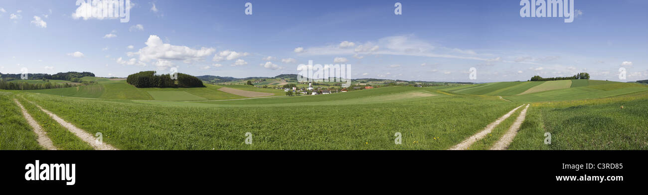 Trail through grassy landscape Stock Photo - Alamy