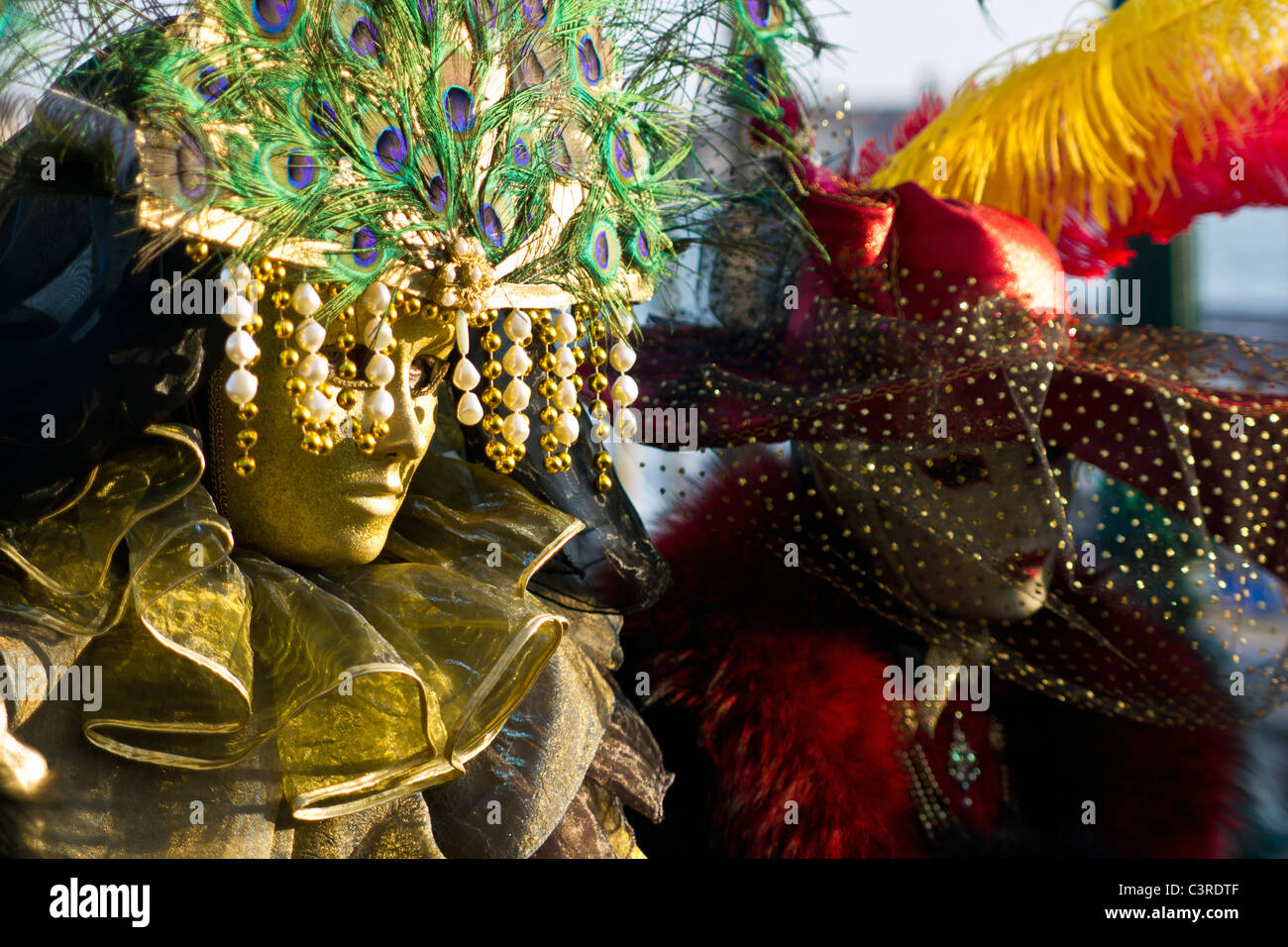 Costumer revelers during Carnival 2011 Stock Photo - Alamy