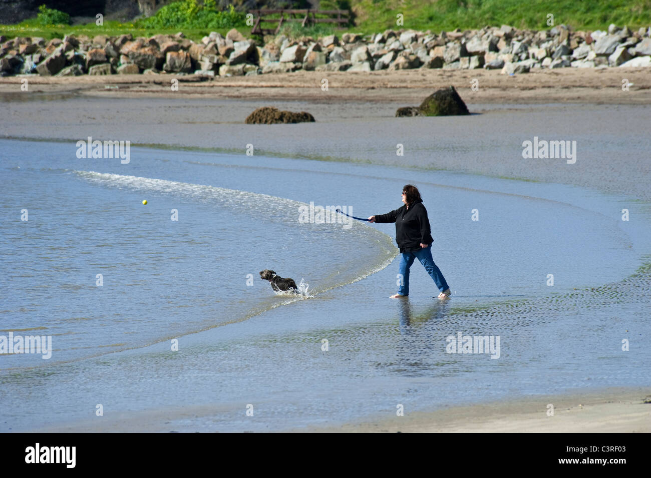Throwing ball into sea for dog fetch hi-res stock photography and ...