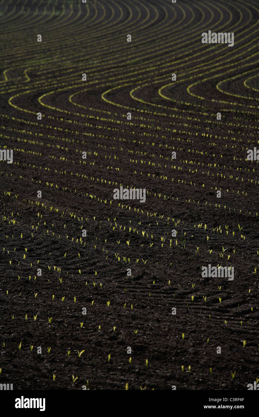 Deining hi-res stock photography and images - Alamy