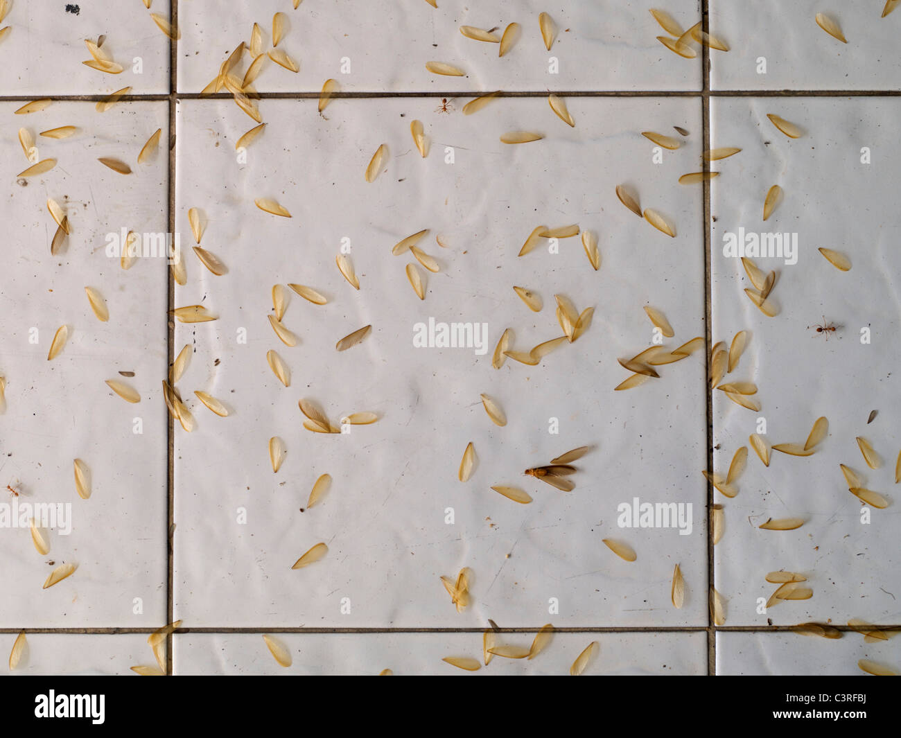 Fallen off hi-res stock photography and images - Alamy