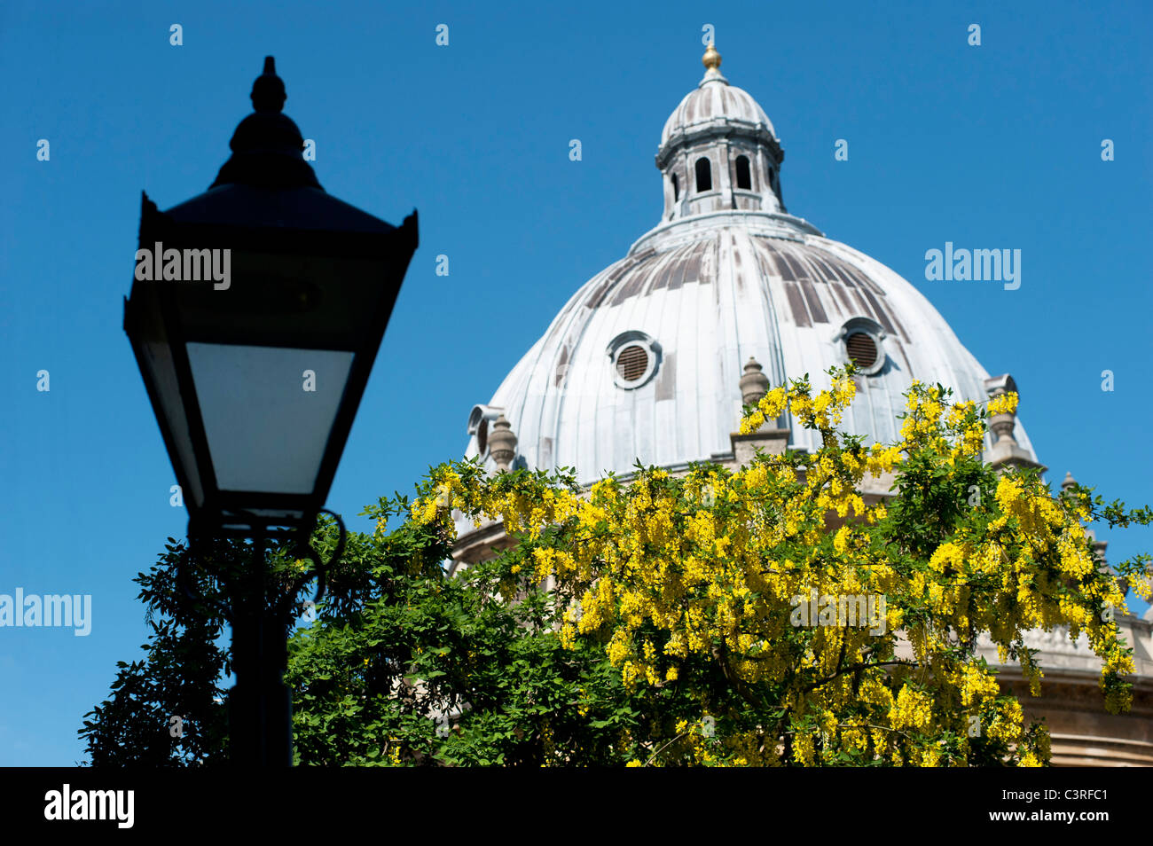 Spring in Oxford and the University looks great in the colours ion ...