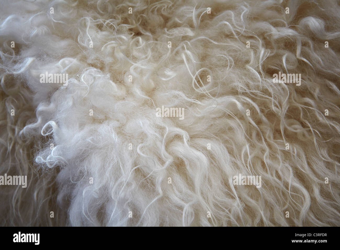 White flokati hi-res stock photography and images - Alamy