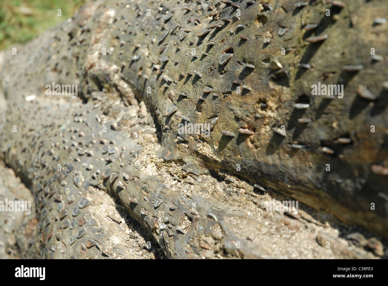 Bolton abbey children hi-res stock photography and images - Alamy