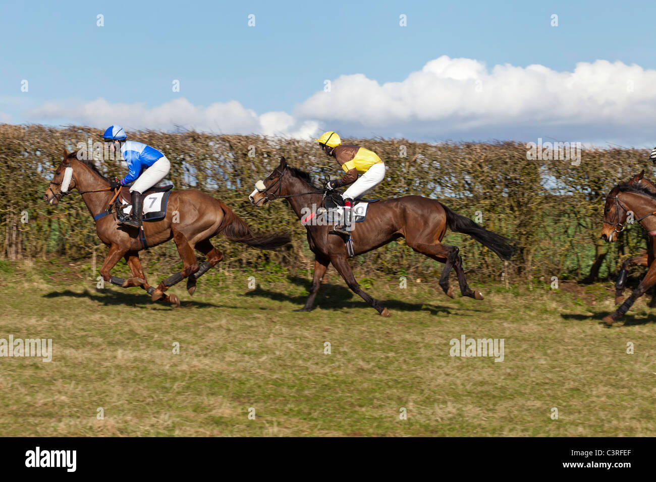 Point to point races uk hi-res stock photography and images - Alamy