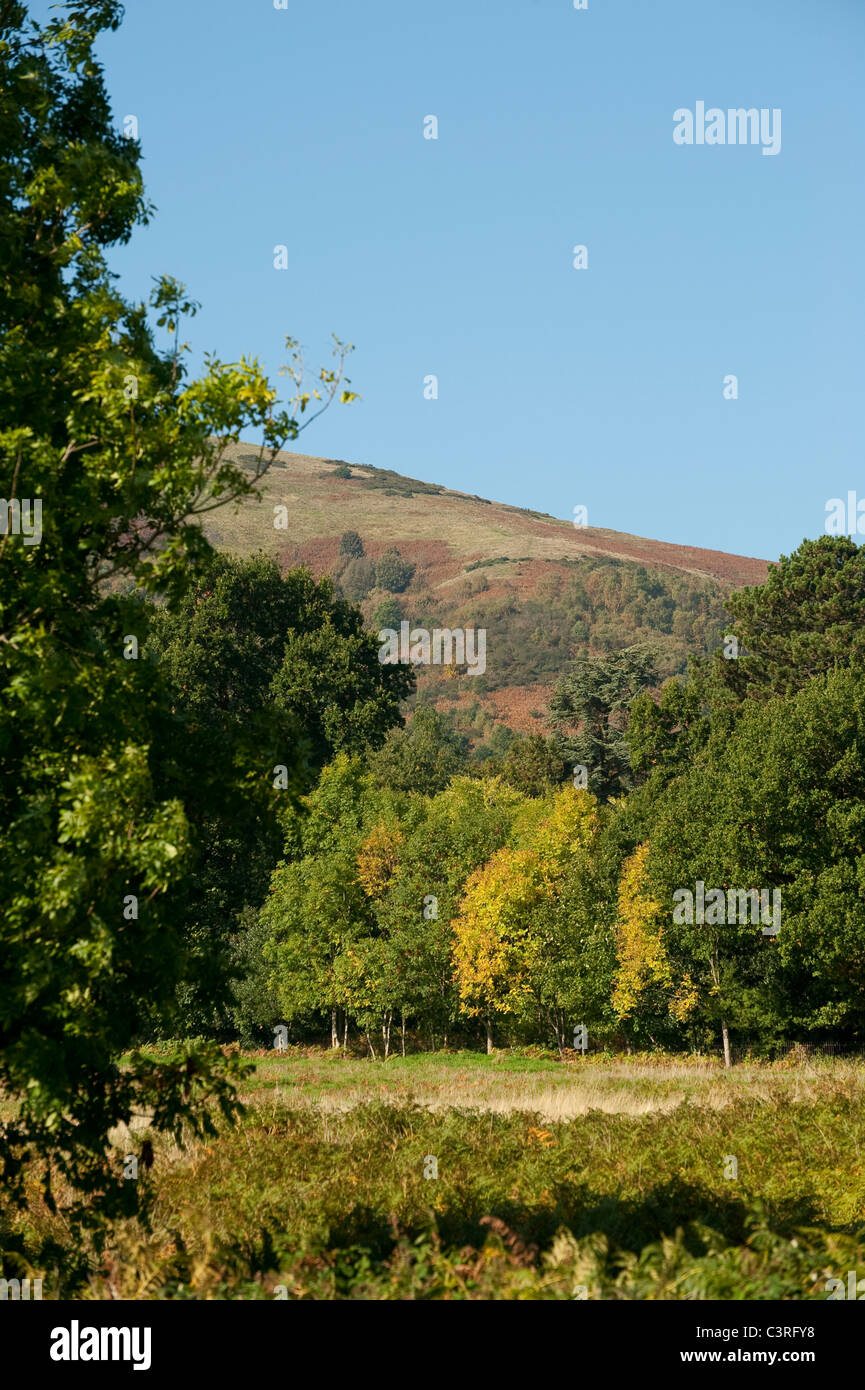 Beautiful view of green trees and hillside in the English countryside ...