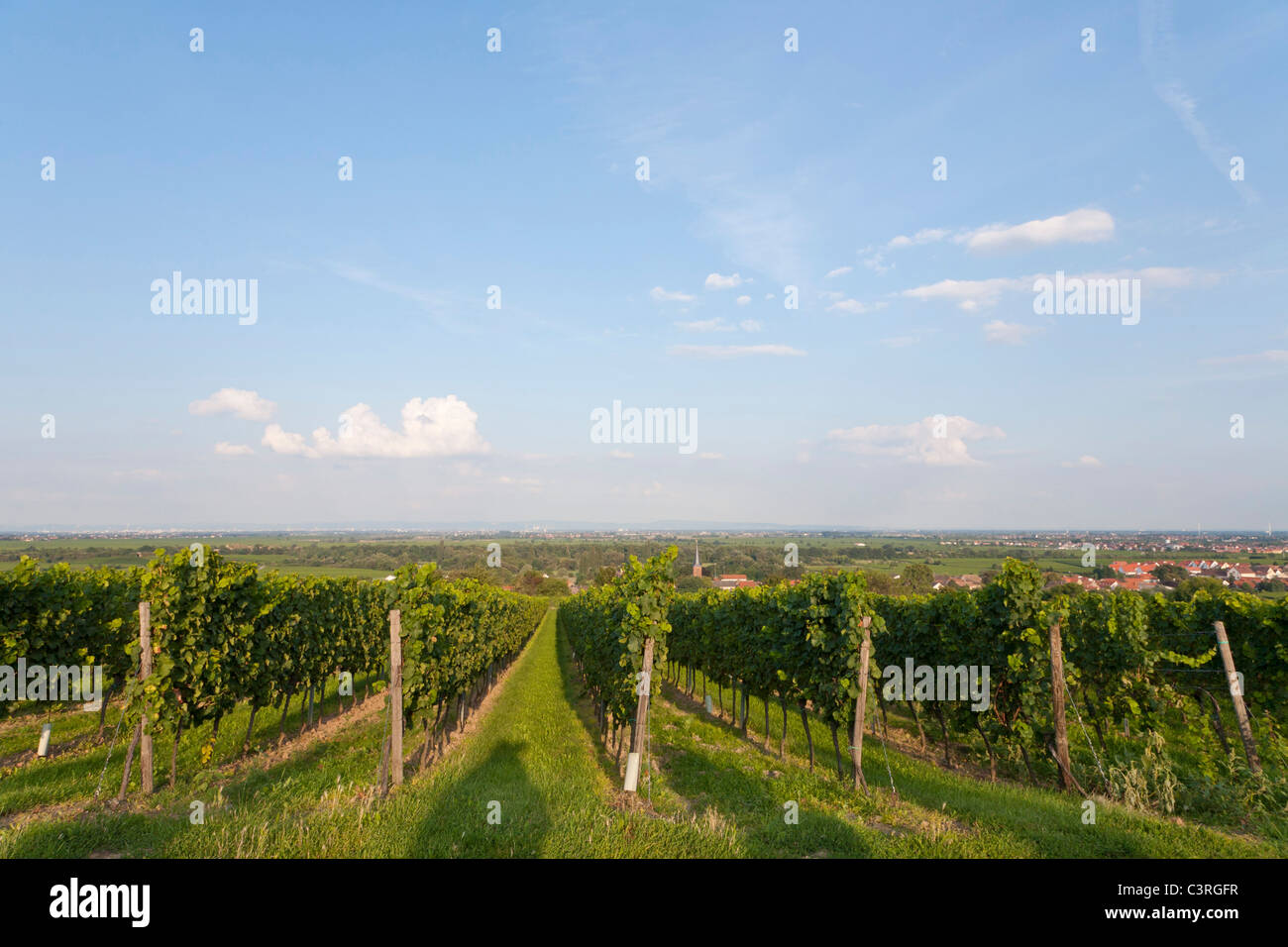 German wine route germany hi-res stock photography and images - Alamy