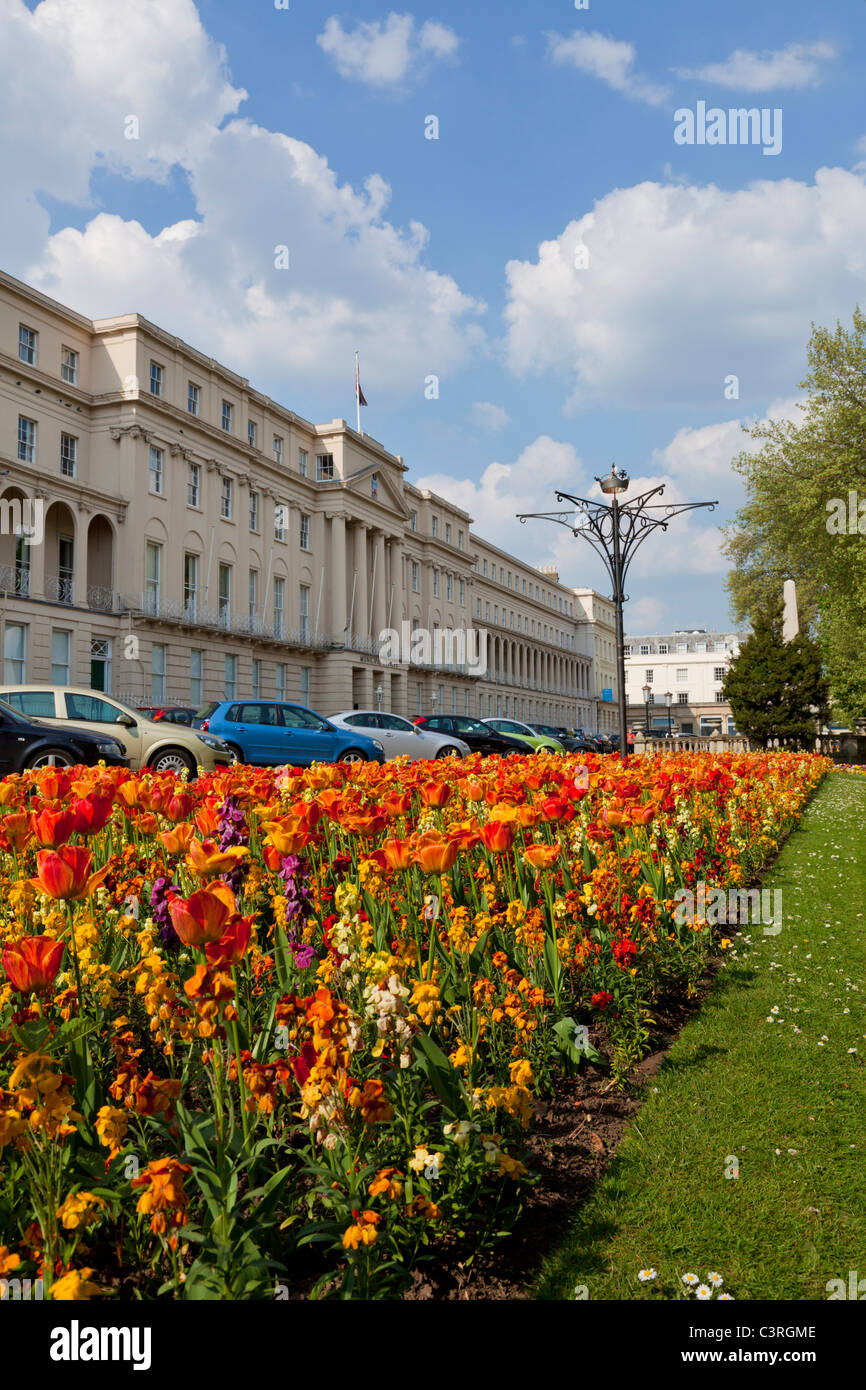Terrace of Georgian houses and the Cheltenham Borough Municipal Offices ...