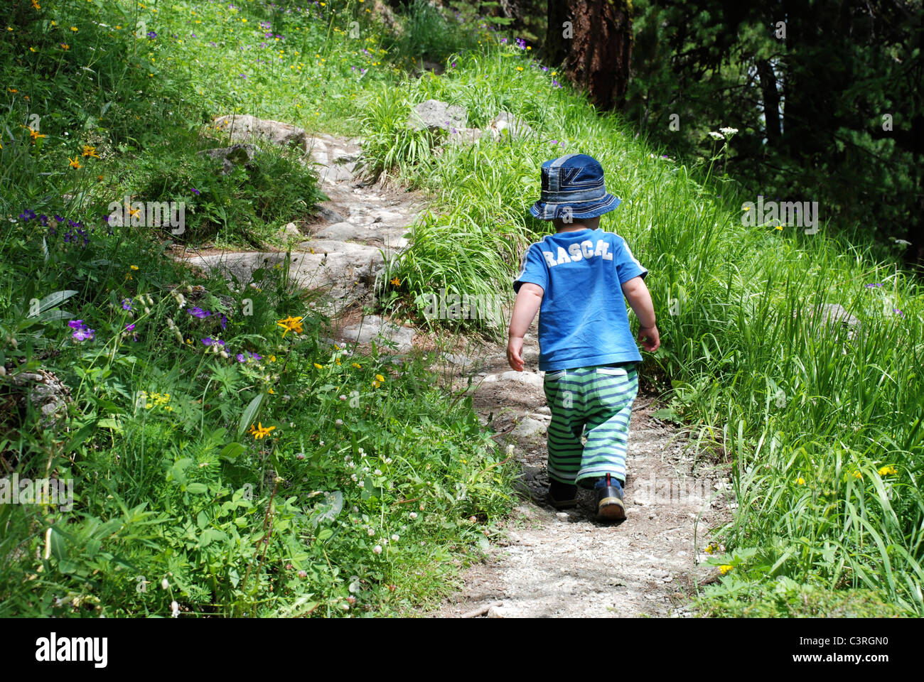 A young boy walking along a woodland path Stock Photo - Alamy