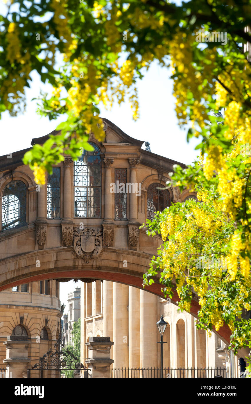 Oxford college colours hi-res stock photography and images - Alamy