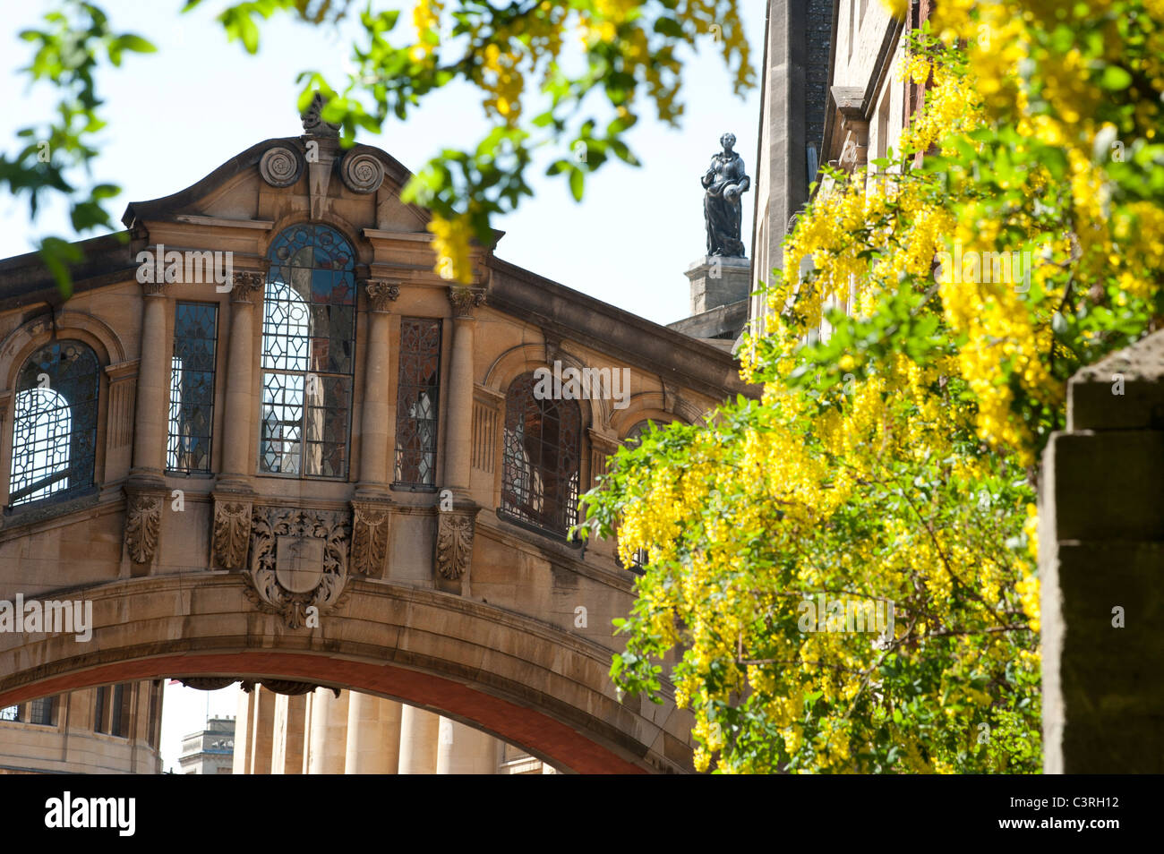Oxford college colours hi-res stock photography and images - Alamy
