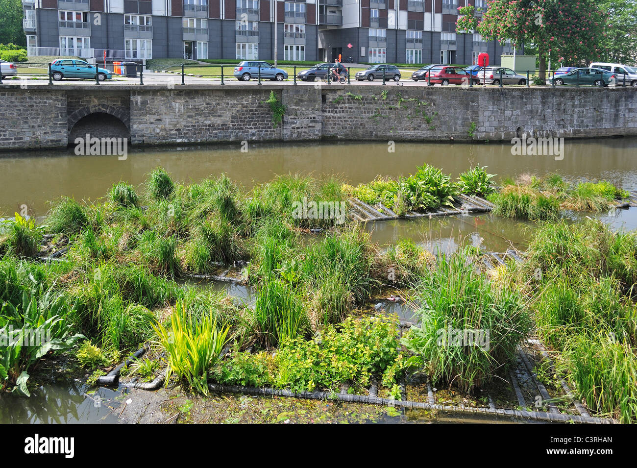 Artificial island in canal for fish to spawn and breeding place for ...