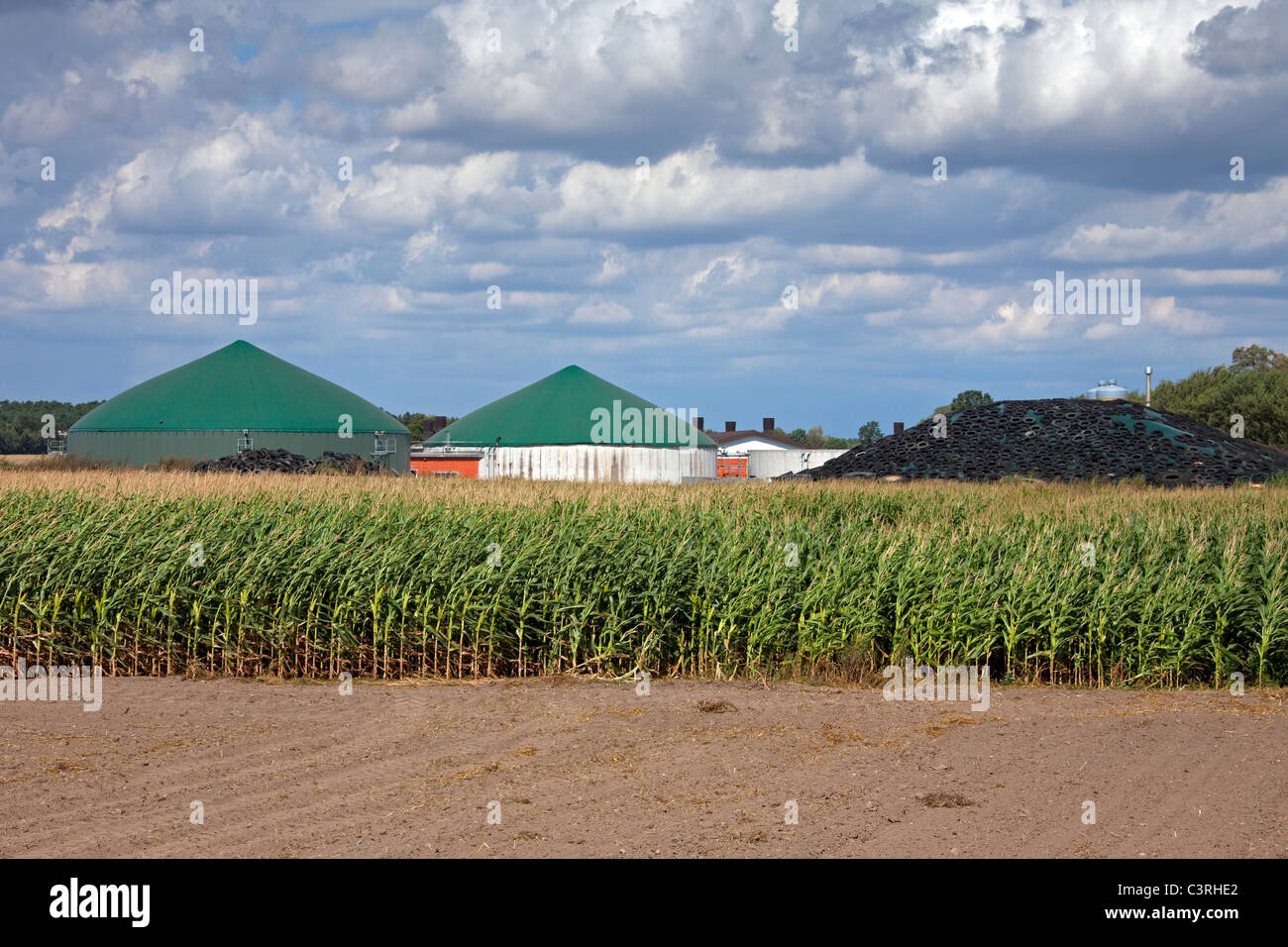Farm-based maize silage anaerobic digester plant for producing biofuel ...