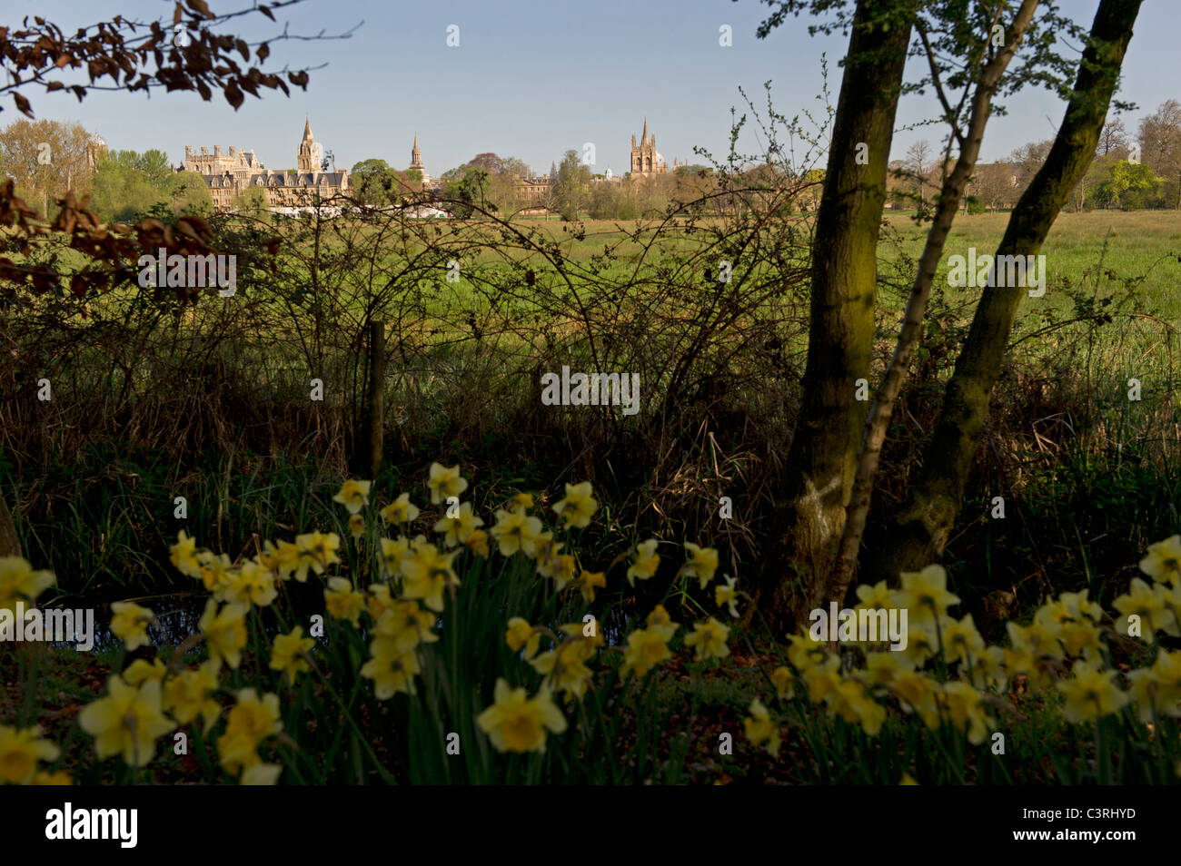 Spring in Oxford and the University looks great in the colours Stock ...