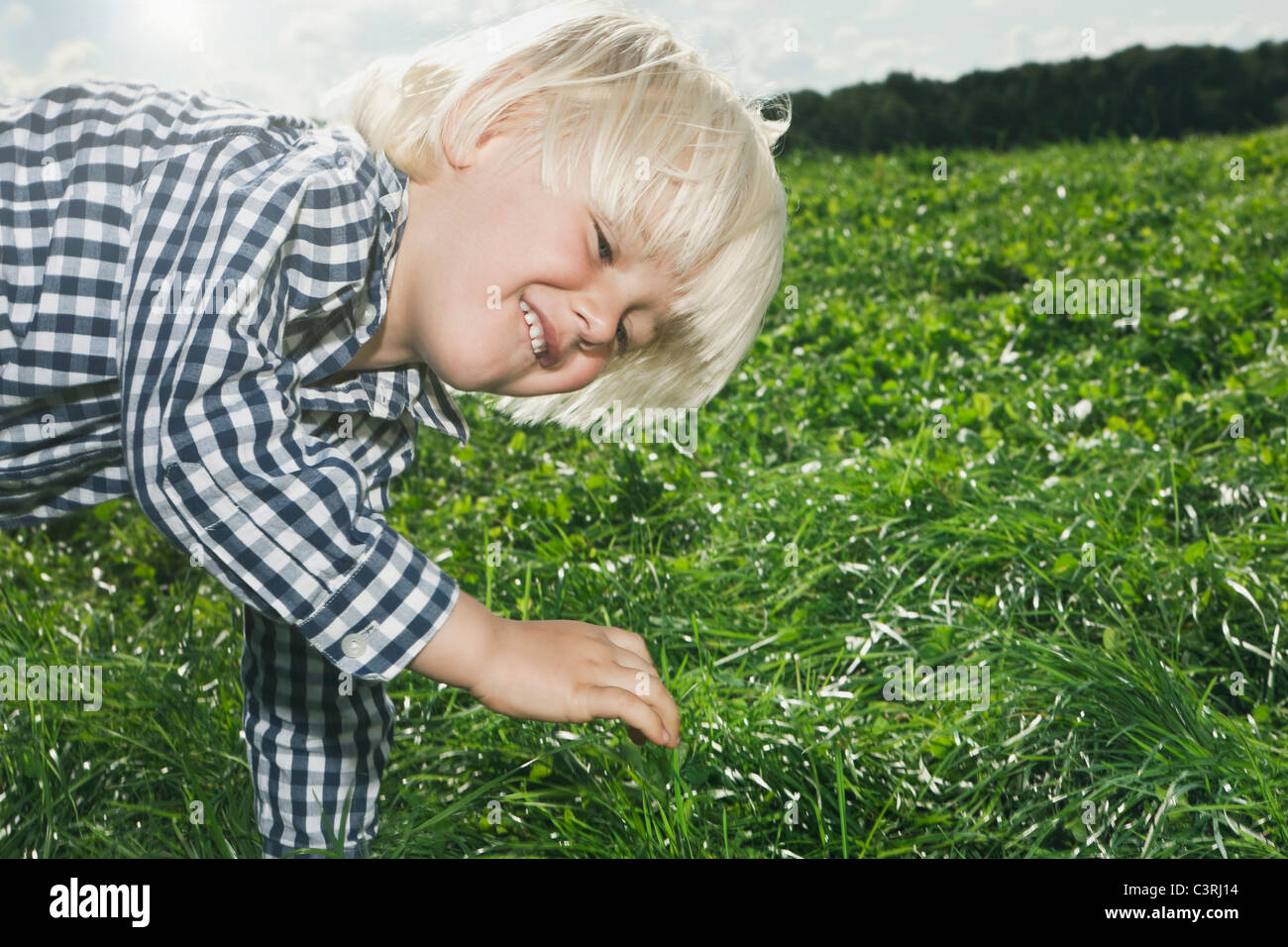 Germany, Cologne, Boy (2-3 Years) doing handstand on grass Stock Photo ...