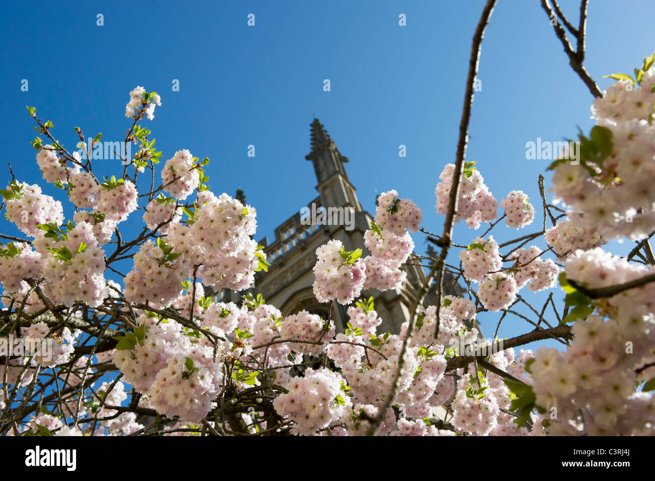 Spring in Oxford and the University looks great in the colours Stock ...