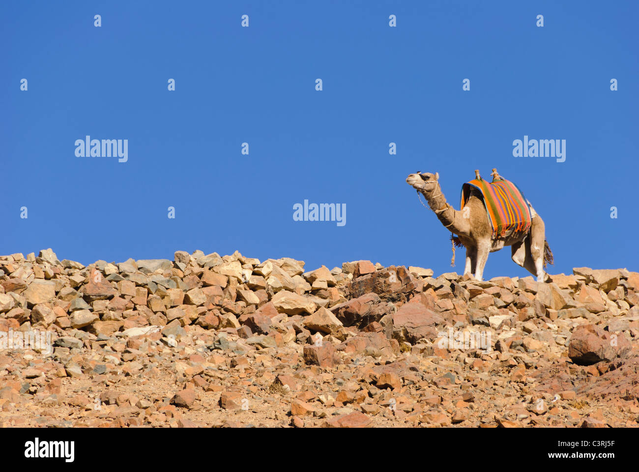 Protectorate High Resolution Stock Photography and Images - Alamy