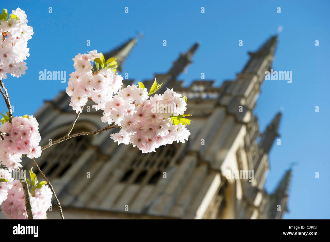 Spring in Oxford and the University looks great in the colours with ...