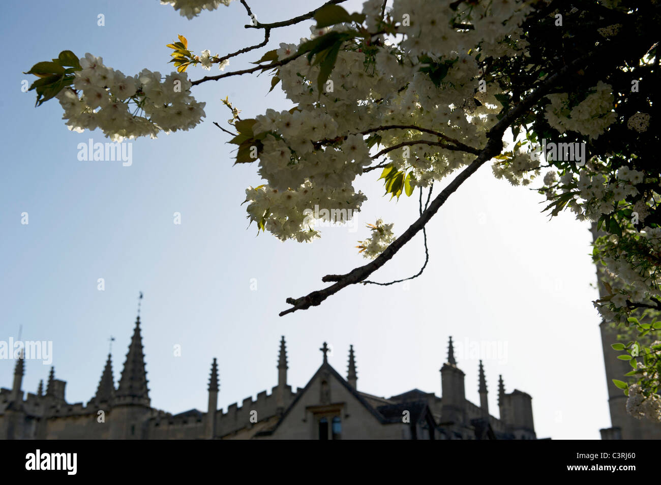 Spring in Oxford and the University looks great in the colours and the ...