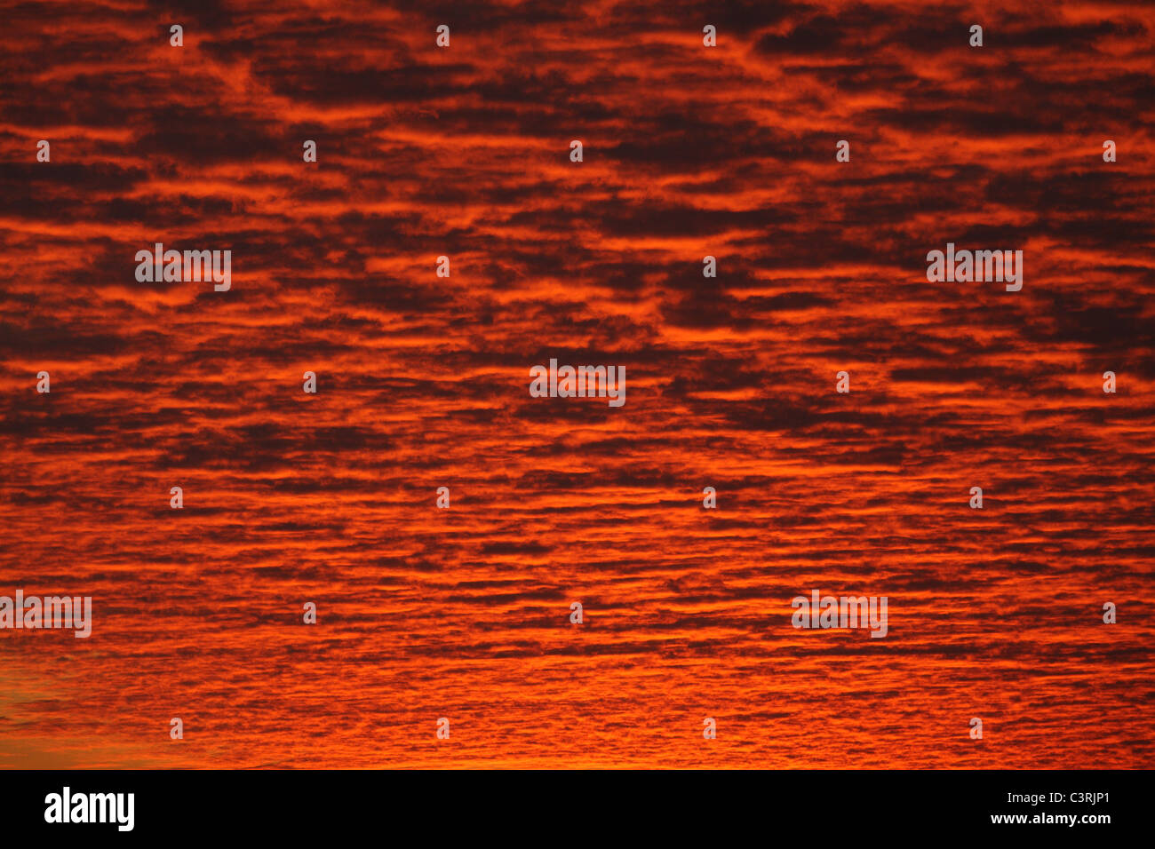 Red evening sky Stock Photo - Alamy