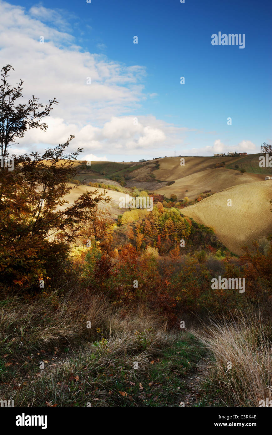 Landscape with fall colors over the hills Stock Photo - Alamy