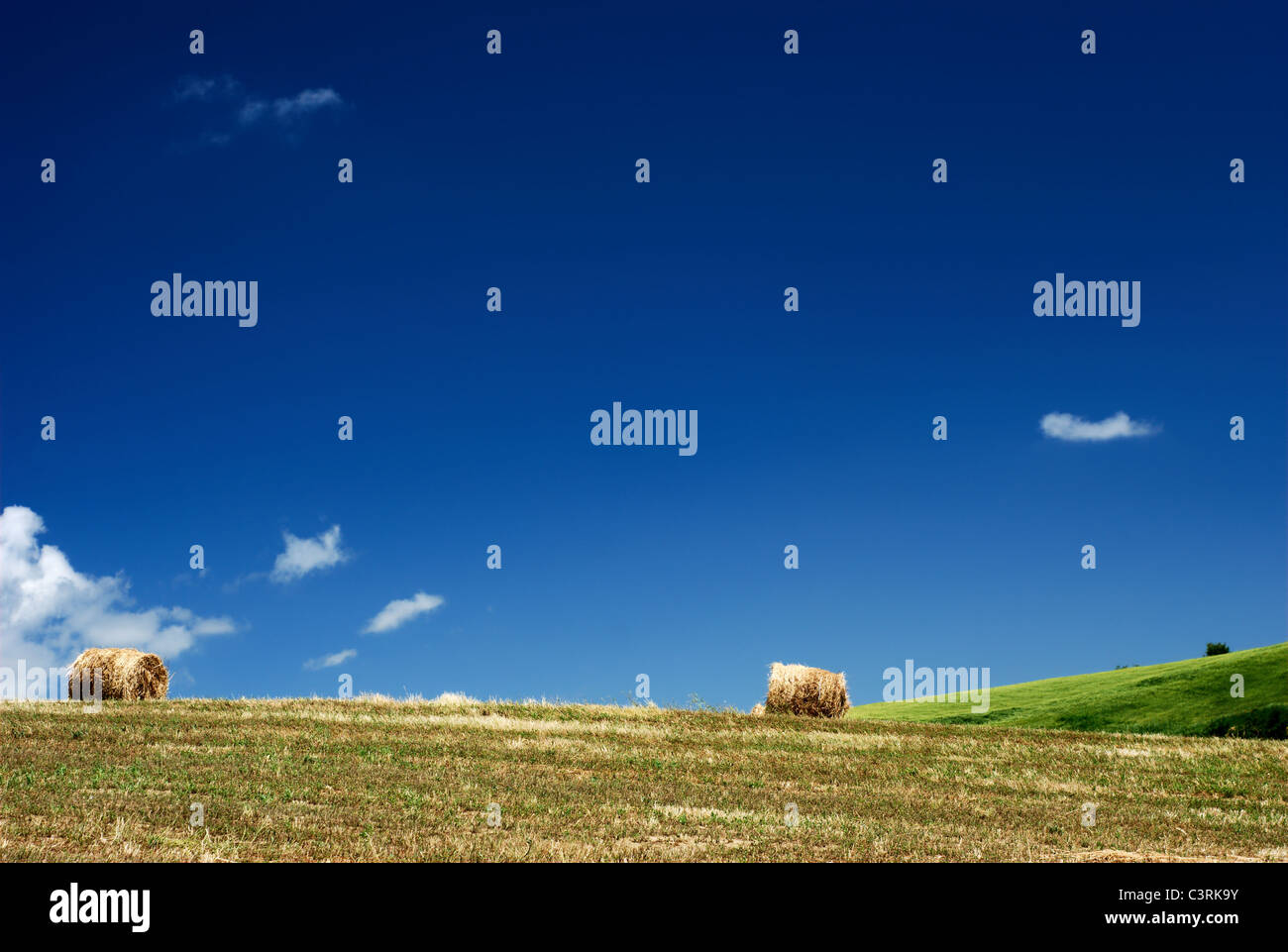 Hay bale fields hi-res stock photography and images - Alamy