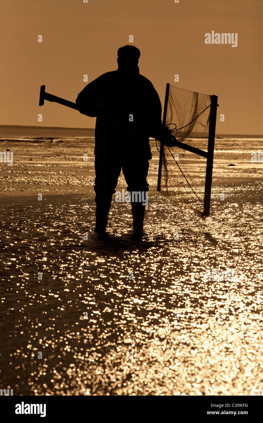 Push netting hi-res stock photography and images - Alamy