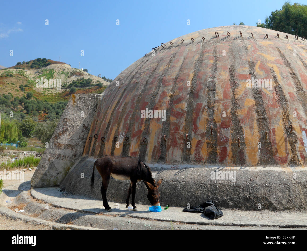 Strong Donkey High Resolution Stock Photography and Images - Alamy