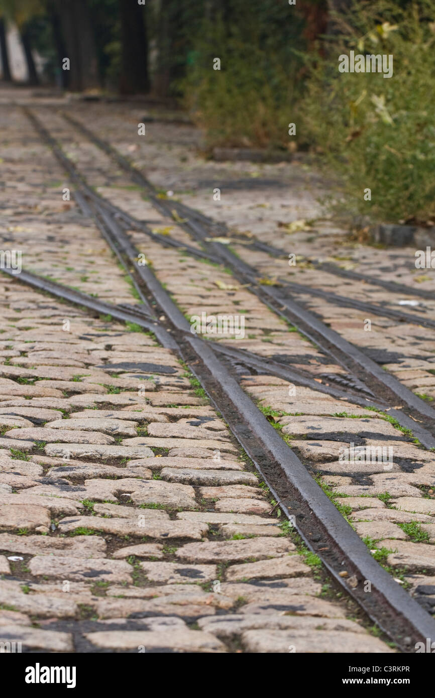 old tram rails on cobblestone Stock Photo - Alamy