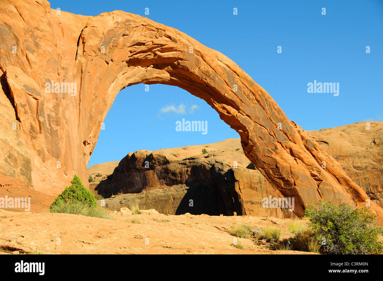Corona arch utah hi-res stock photography and images - Alamy