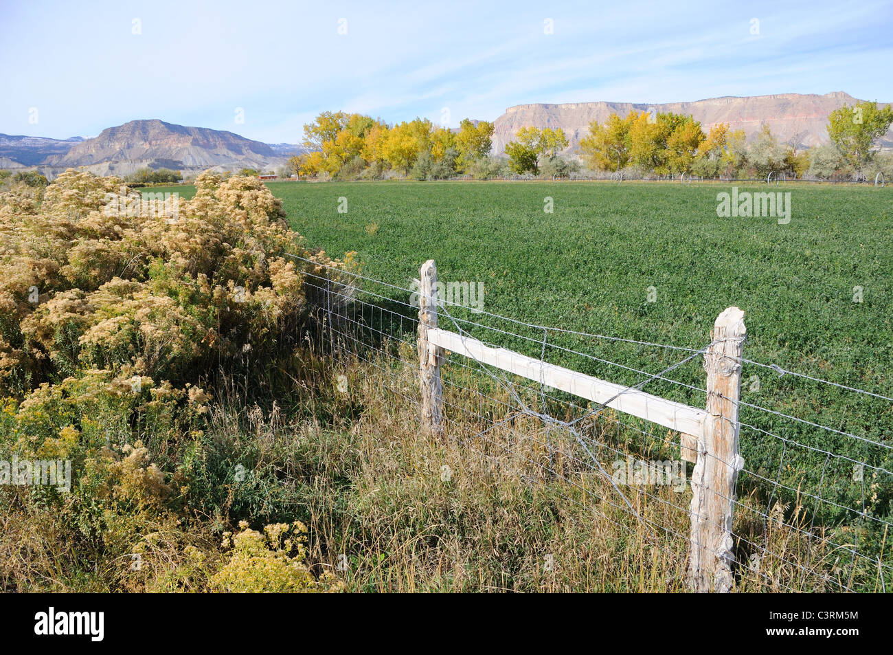 Irrigated Utah Desert Farm in Fall Stock Photo - Alamy