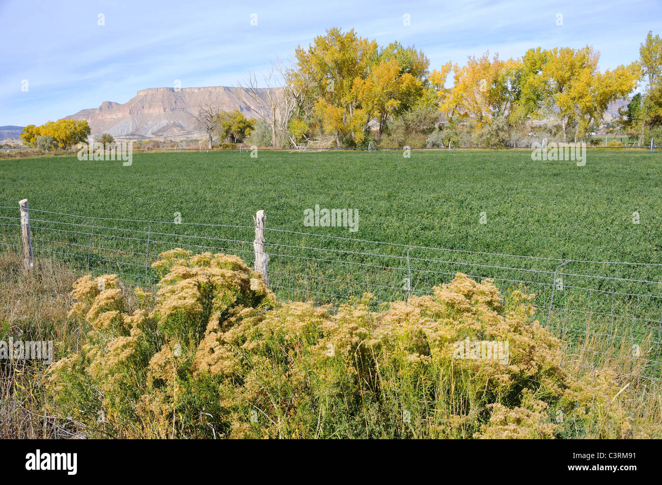 Irrigated Utah Desert Farm in the Fall Stock Photo - Alamy
