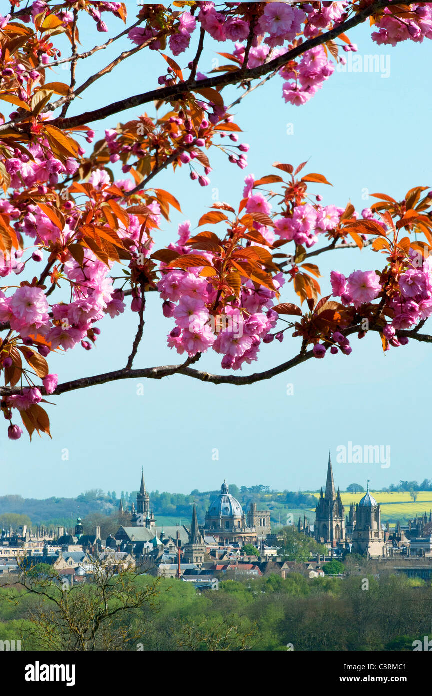 Spring in Oxford and the University looks great in the colours,seen ...