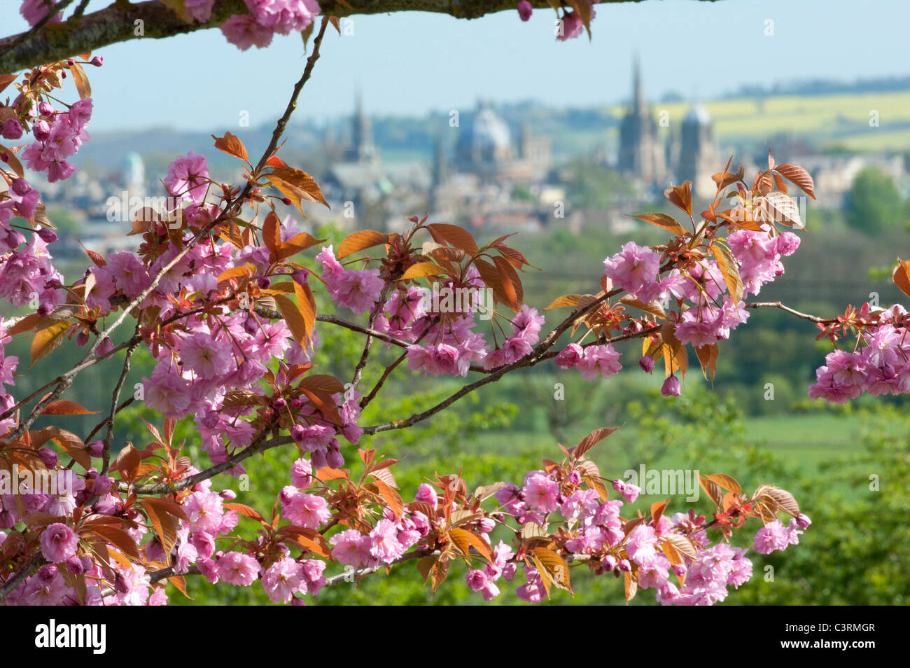 Spring in Oxford and the University looks great in the colours,seen ...