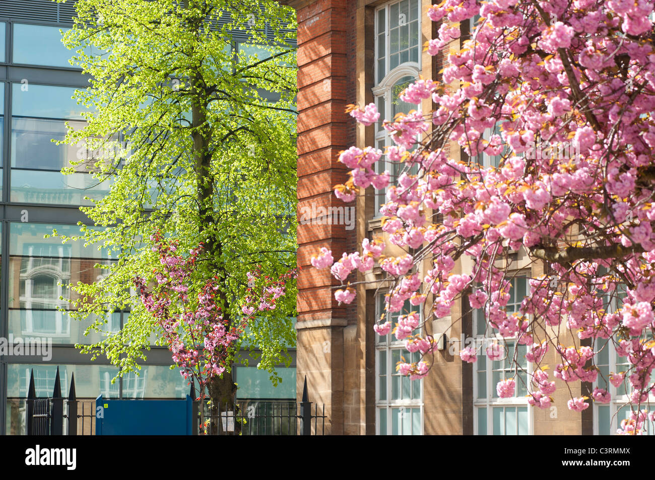 Spring in Oxford and the University looks great in the colours,here the ...