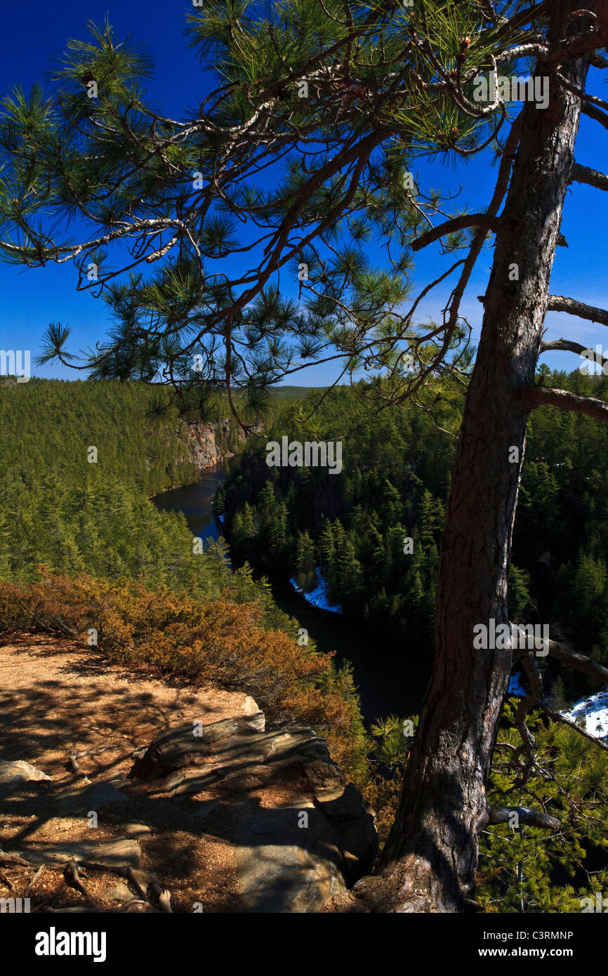 Barron River looking downstream from the top of the Barron Canyon ...