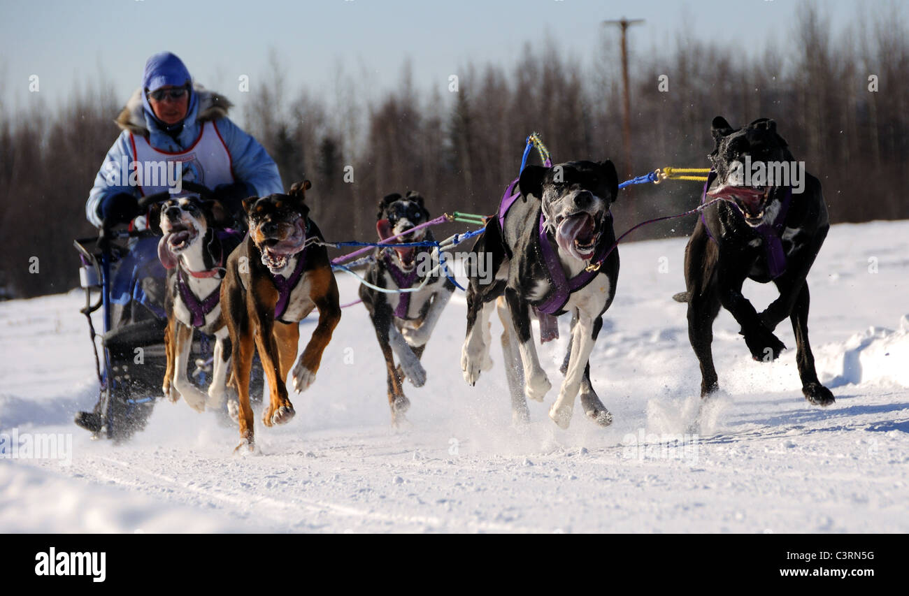 Fairbanks alaska winter hi-res stock photography and images - Alamy