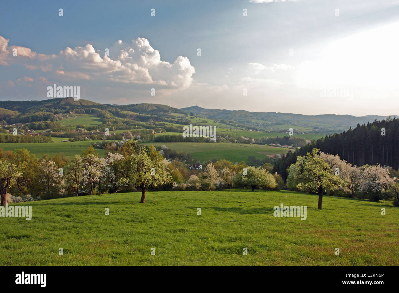 Hills in spring Stock Photo - Alamy