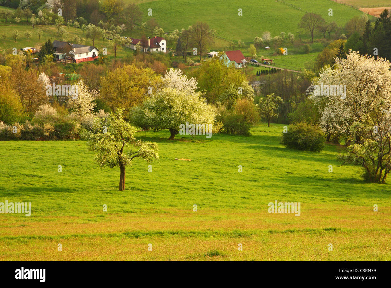 Countryside in spring Stock Photo - Alamy