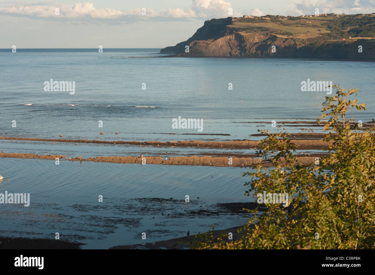 Ravenscar from Robin Hood's Bay low water Stock Photo - Alamy