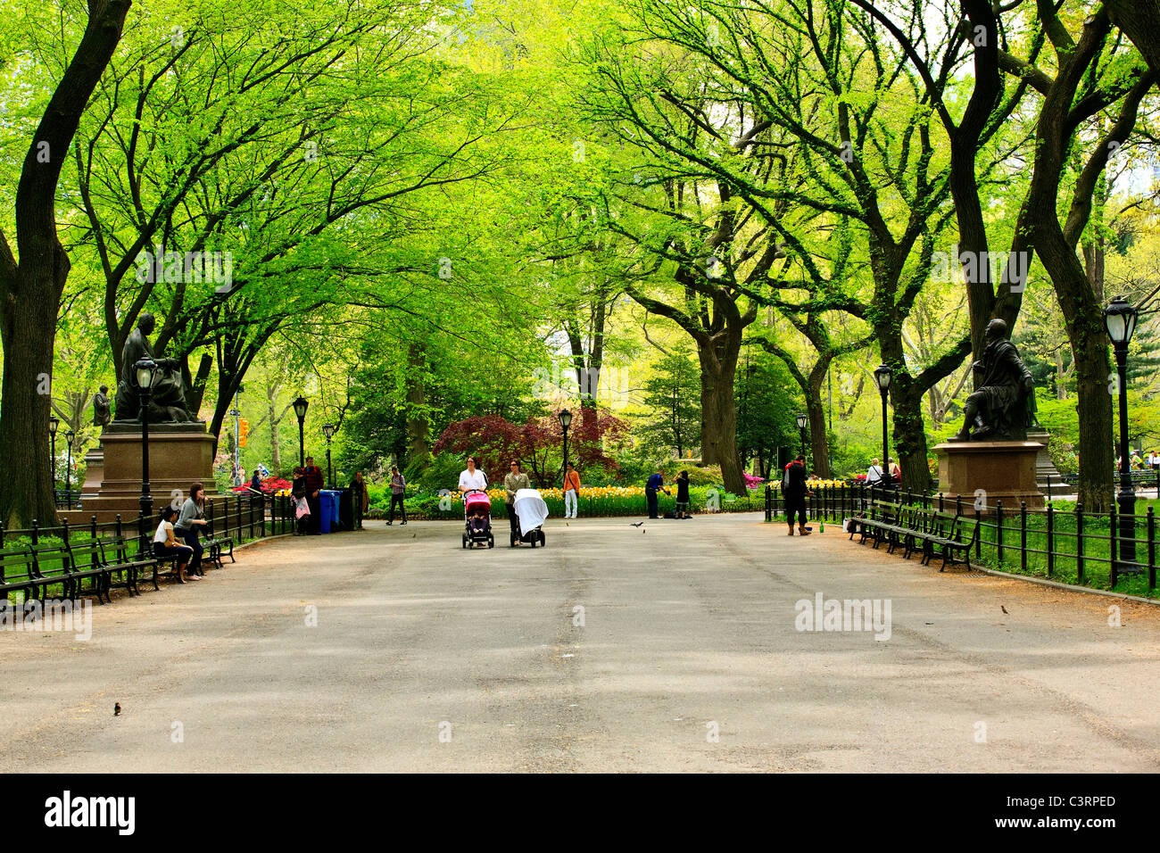 Central Park, Manhattan, New York City, New York, USA. the mall in ...