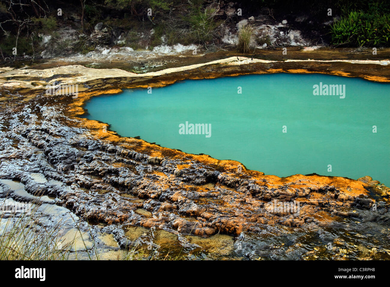 geothermal activity hot sulfur spring Stock Photo - Alamy