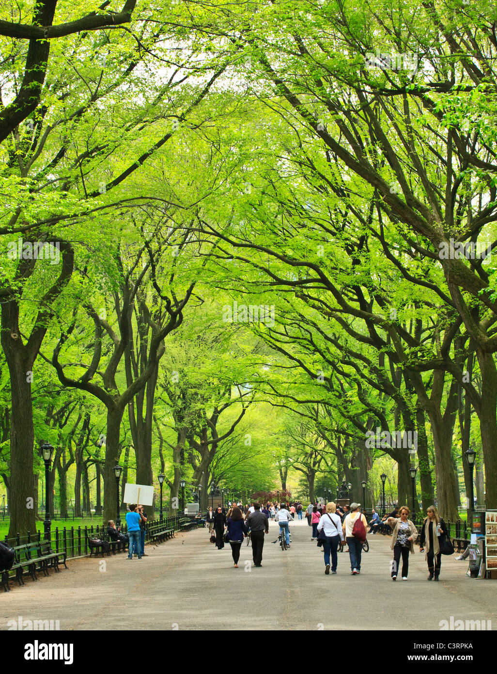Central Park, Manhattan, New York City, New York, USA. the mall in ...