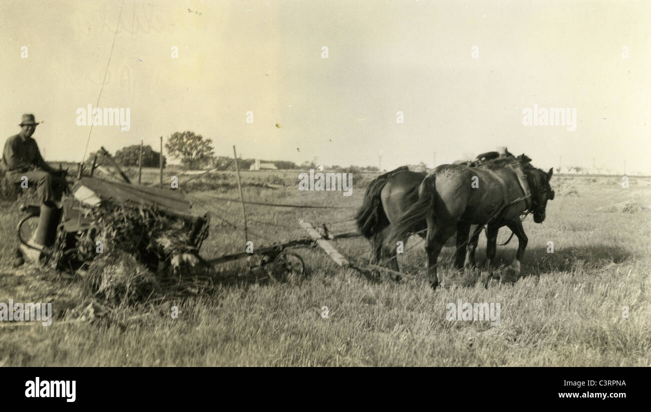 1930s farmer hi-res stock photography and images - Alamy