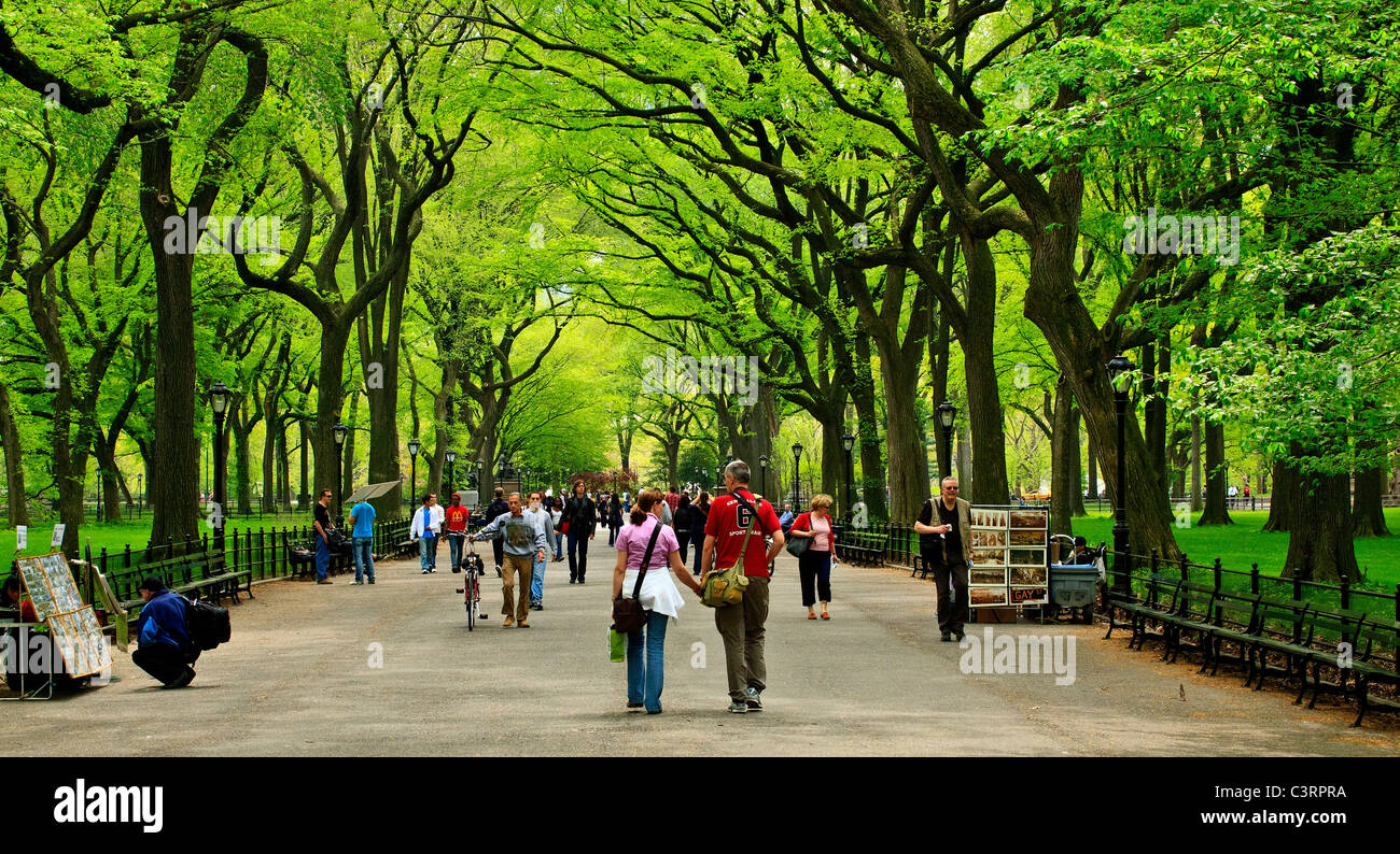 Central Park, Manhattan, New York City, New York, USA. the mall in ...