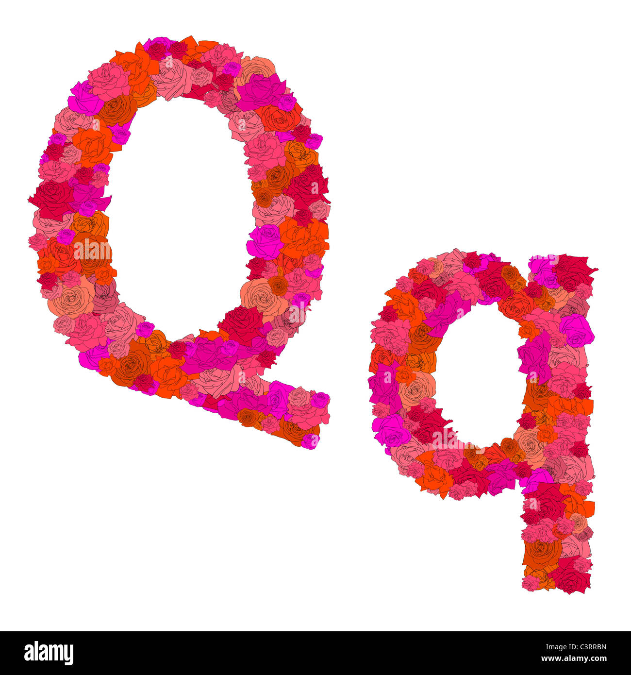 Flower alphabet of red roses, characters Q-q Stock Photo - Alamy